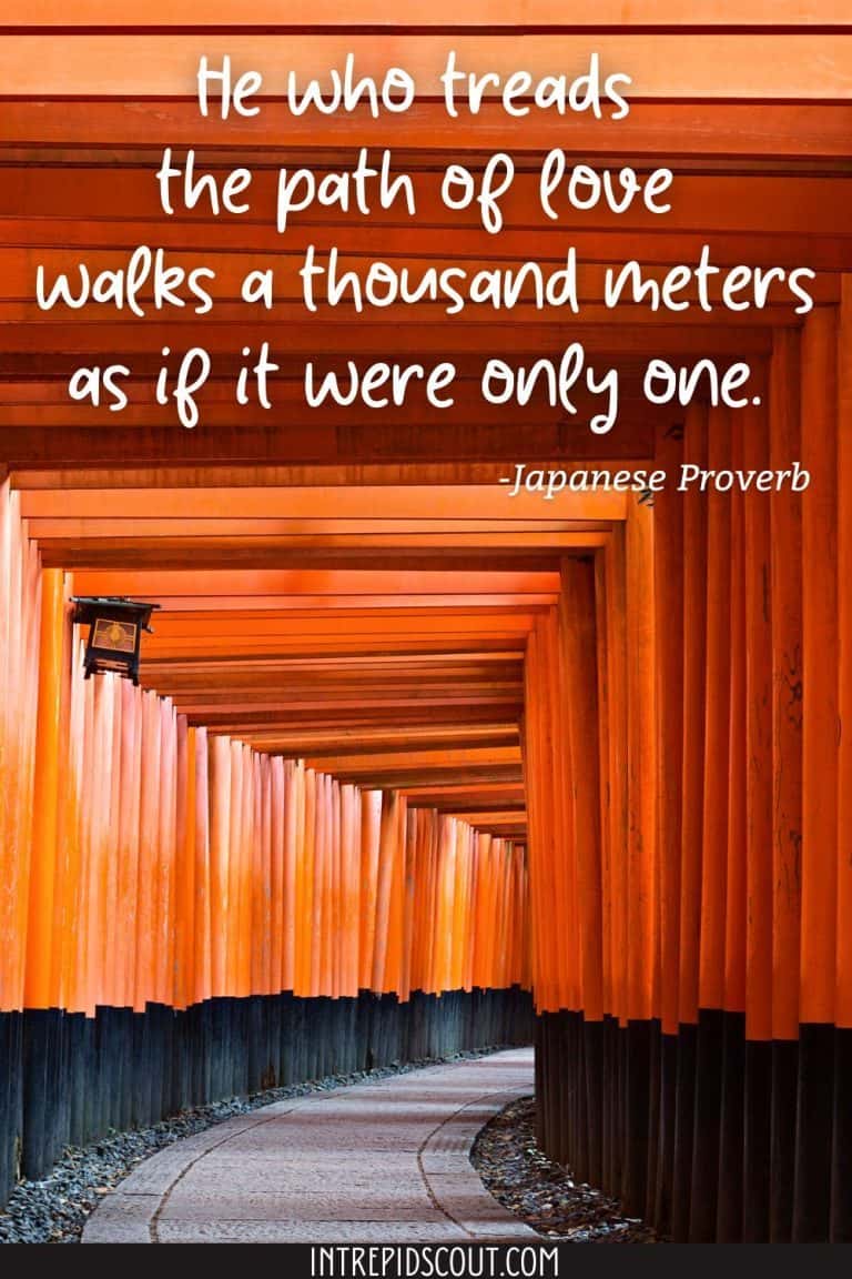 275 Best QUOTES About JAPAN (JAPANESE Culture, Nature, Food, Anime ...