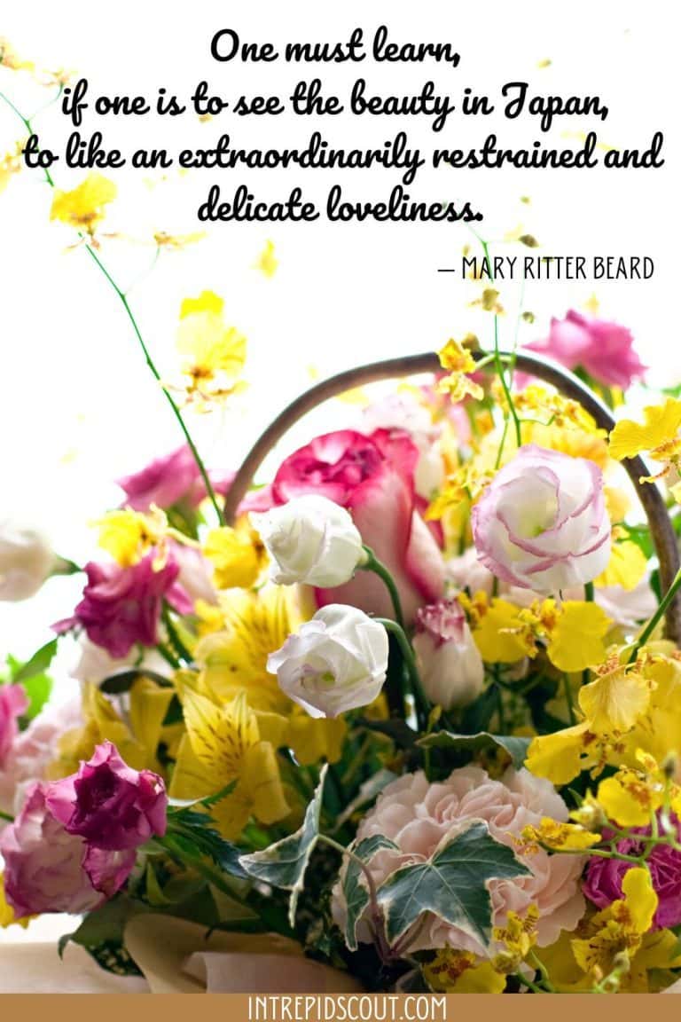 275 Best QUOTES About JAPAN (JAPANESE Culture, Nature, Food, Anime ...