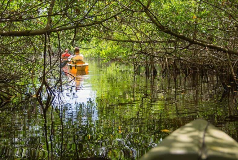 Perfect 2 Days in Key West (10 Things You Shouldn’t Miss) • Intrepid Scout