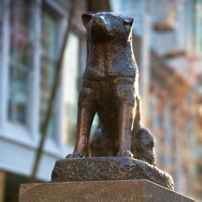 Amazing 3 DAYS in TOKYO (Thrilling Itinerary with 21 Things You Can't ...