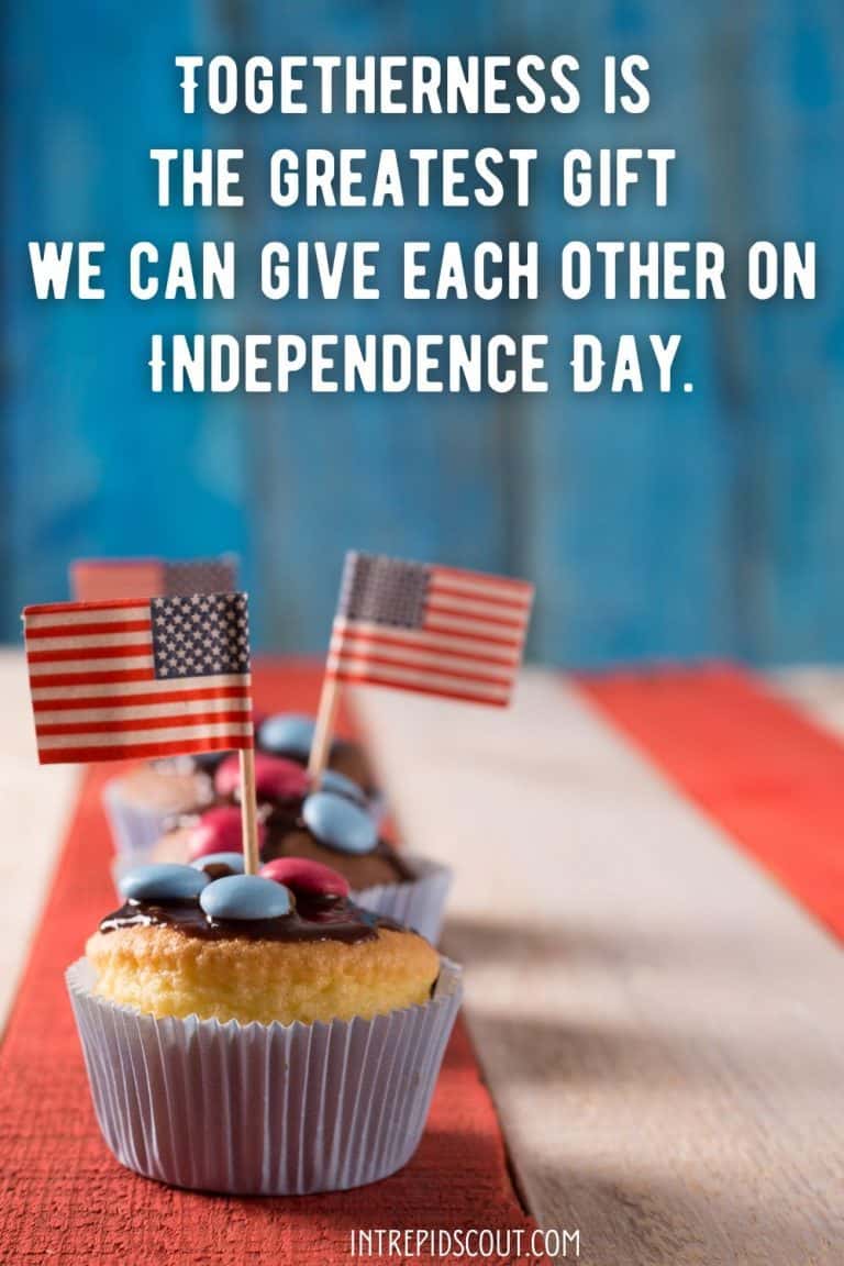 249 Happy INDEPENDENCE DAY CAPTIONS and QUOTES to Celebrate Freedom ...