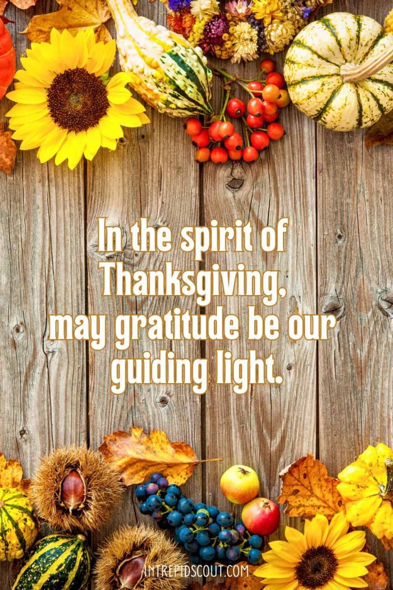 104 Thanksgiving Day Captions and Quotes to Celebrate Gratitude ...