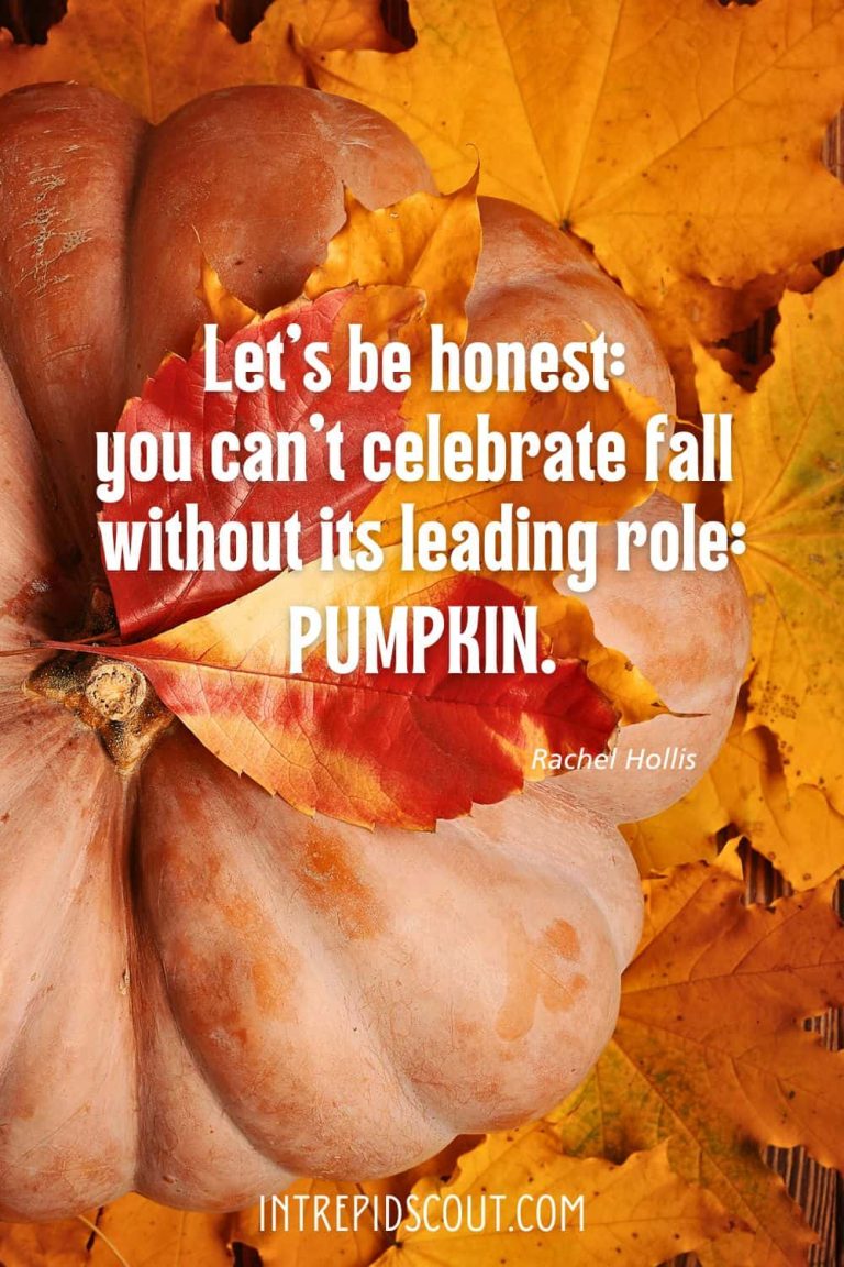 104 Delightful Pumpkin Captions and Quotes to Celebrate Fall • Intrepid ...