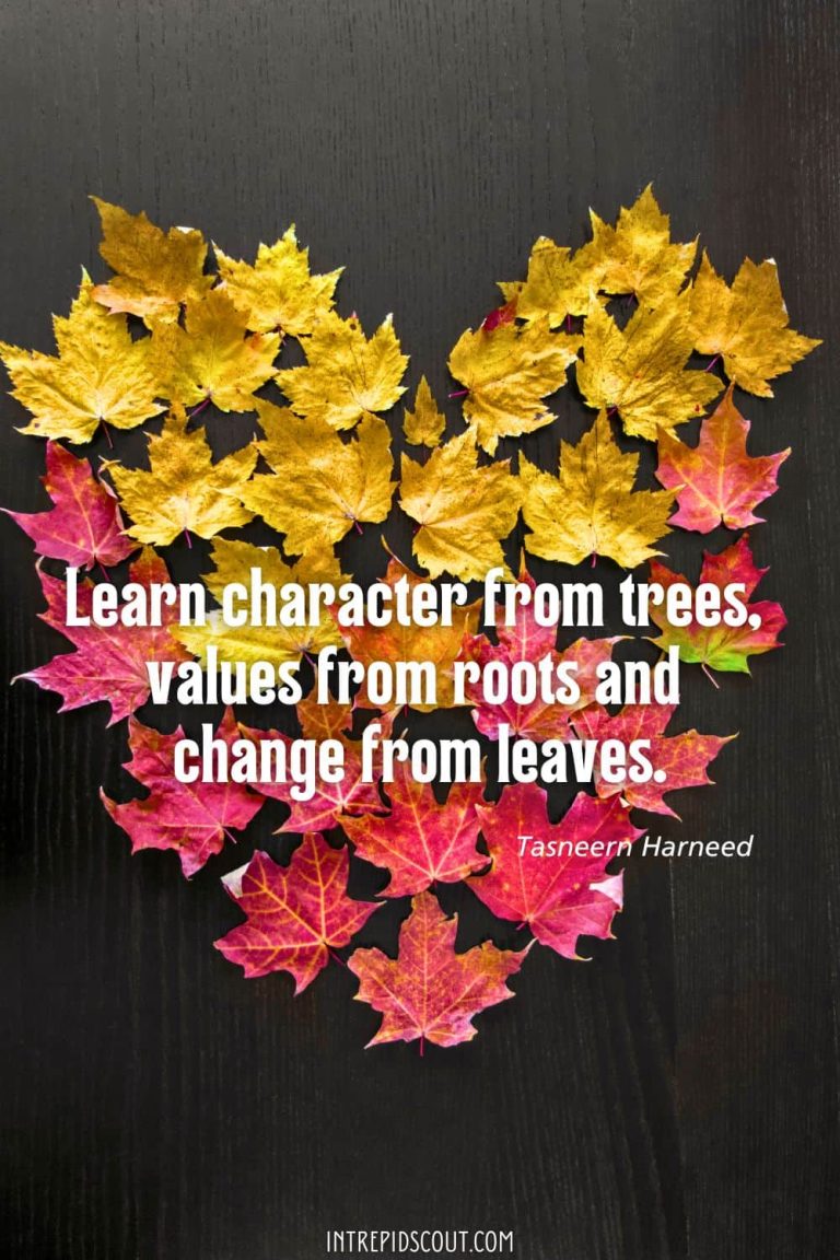 33 Changing Leaves Quotes That Celebrate the Beauty of Fall • Intrepid ...