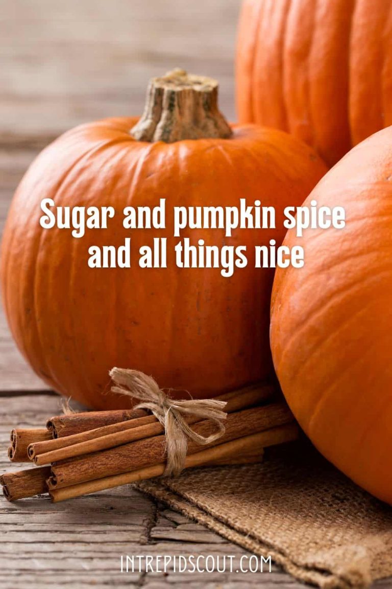 104 Delightful Pumpkin Captions and Quotes to Celebrate Fall • Intrepid ...