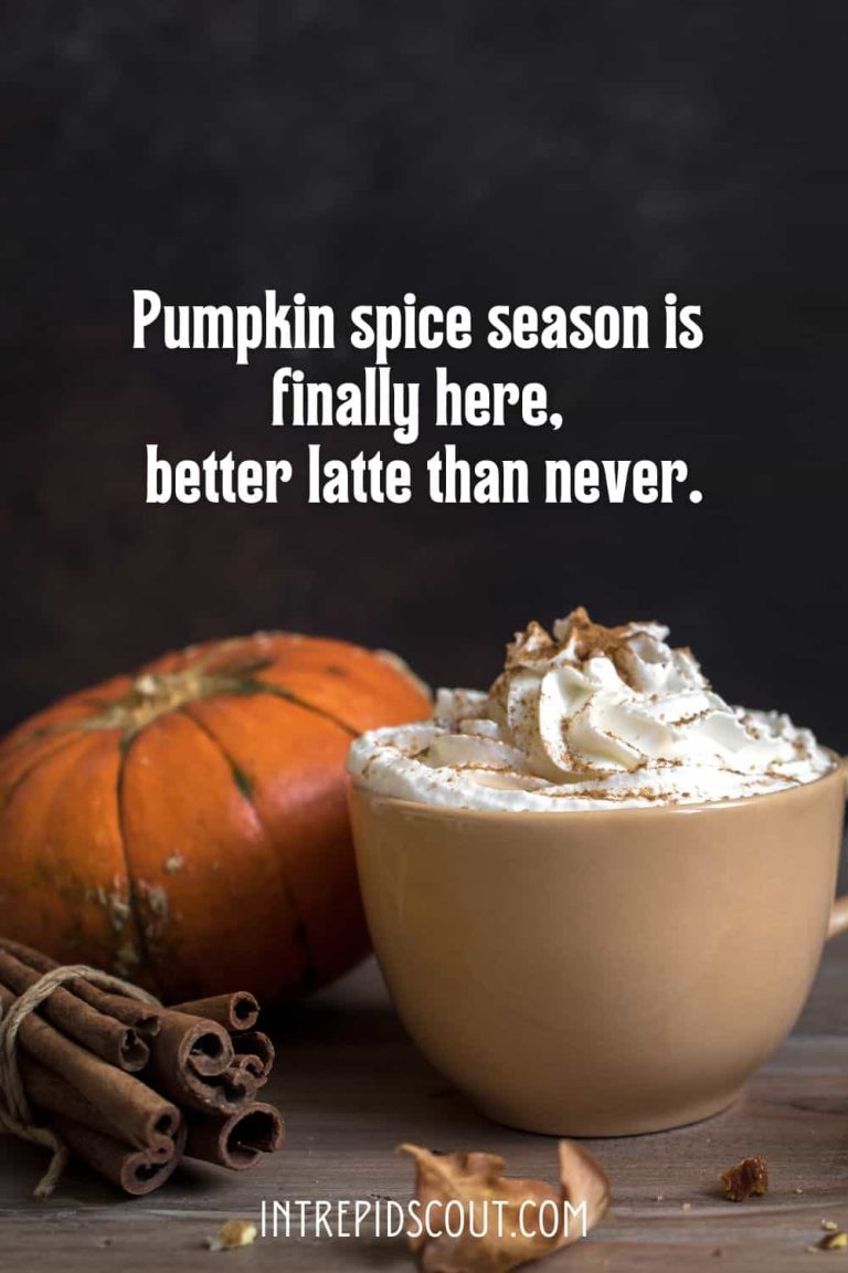 104 Delightful Pumpkin Captions and Quotes to Celebrate Fall • Intrepid ...