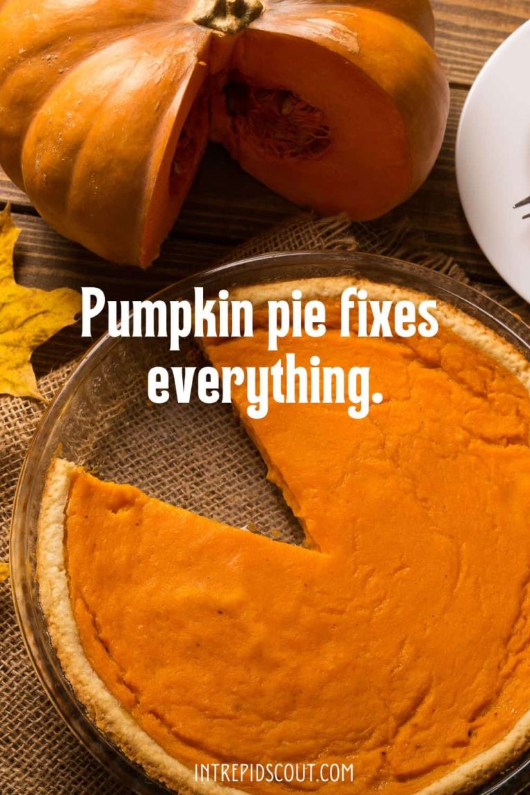 104 Delightful Pumpkin Captions and Quotes to Celebrate Fall • Intrepid ...
