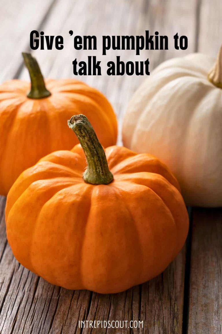 104 Delightful Pumpkin Captions and Quotes to Celebrate Fall • Intrepid ...