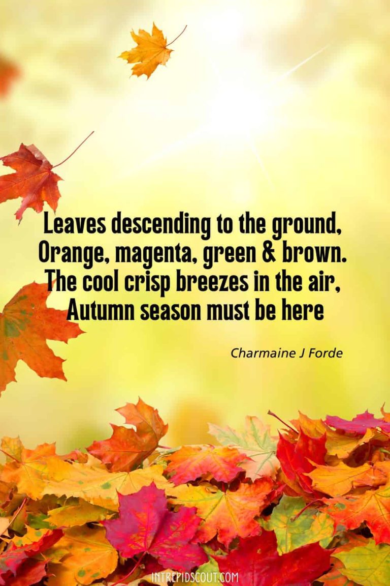 33 Changing Leaves Quotes That Celebrate the Beauty of Fall • Intrepid ...