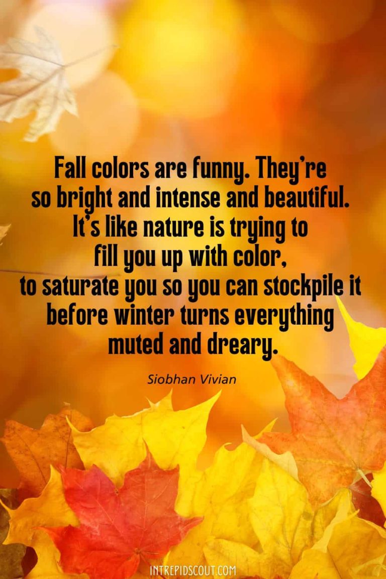 33 Changing Leaves Quotes That Celebrate the Beauty of Fall • Intrepid ...