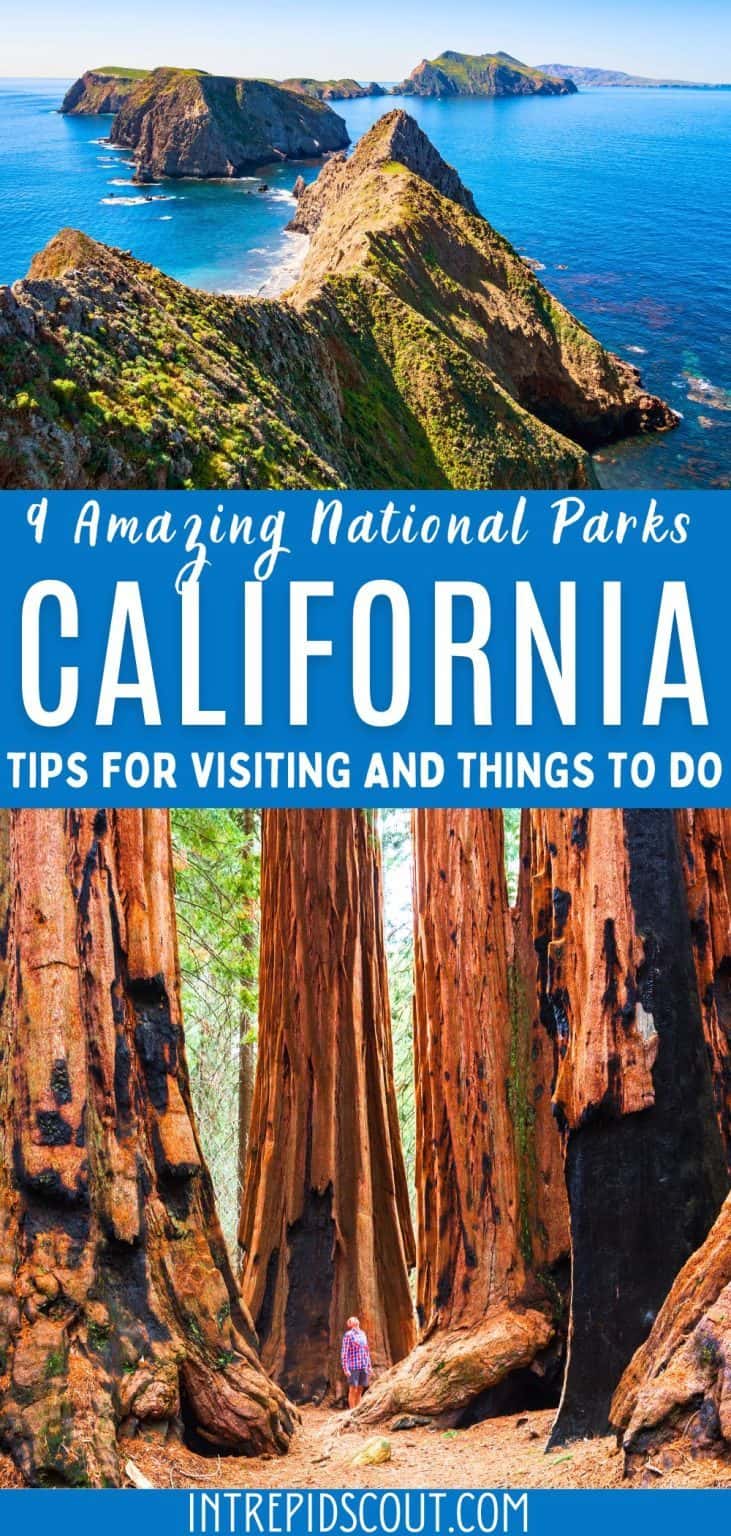 9 Majestic National Parks in California (Tips for Visiting+Top ...