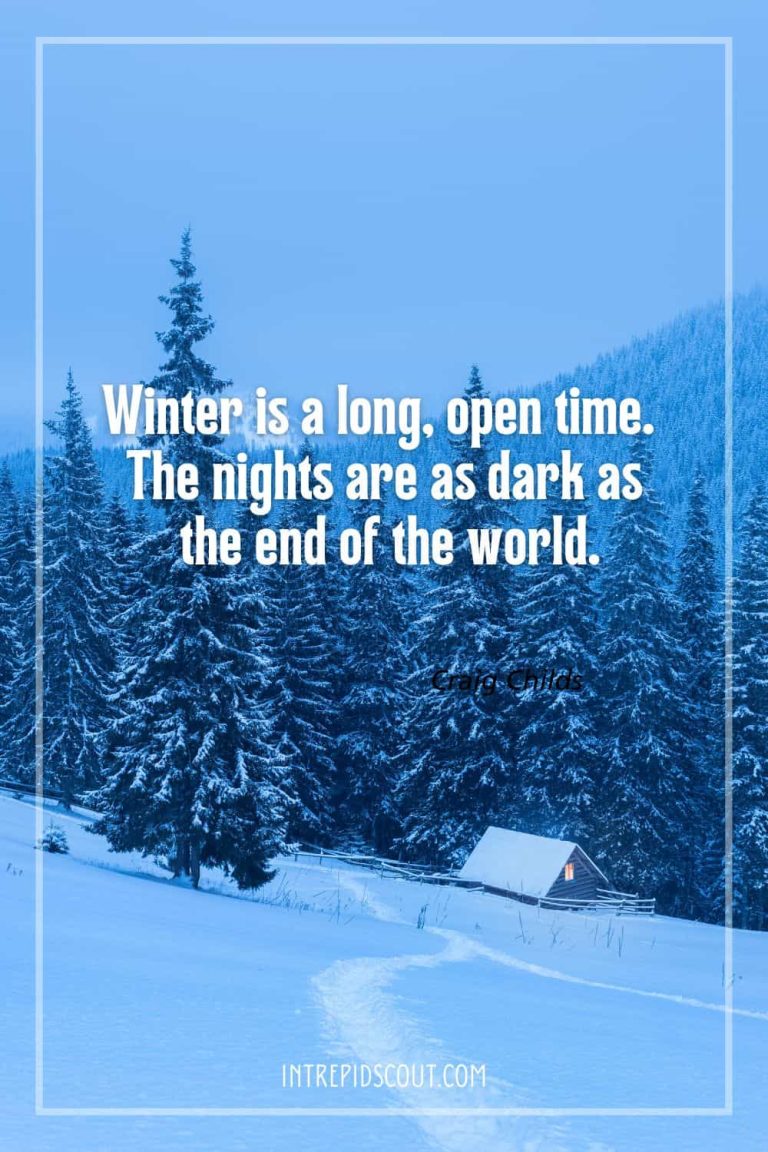 206 Winter Captions and Quotes to Capture the Charm of the Season ...