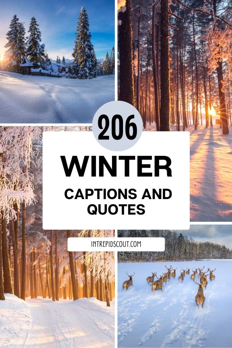 206 Winter Captions and Quotes to Capture the Charm of the Season ...