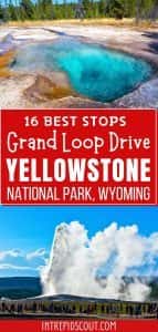 16 Best Stops on Yellowstone Grand Loop Drive (Maps+Useful Tips ...