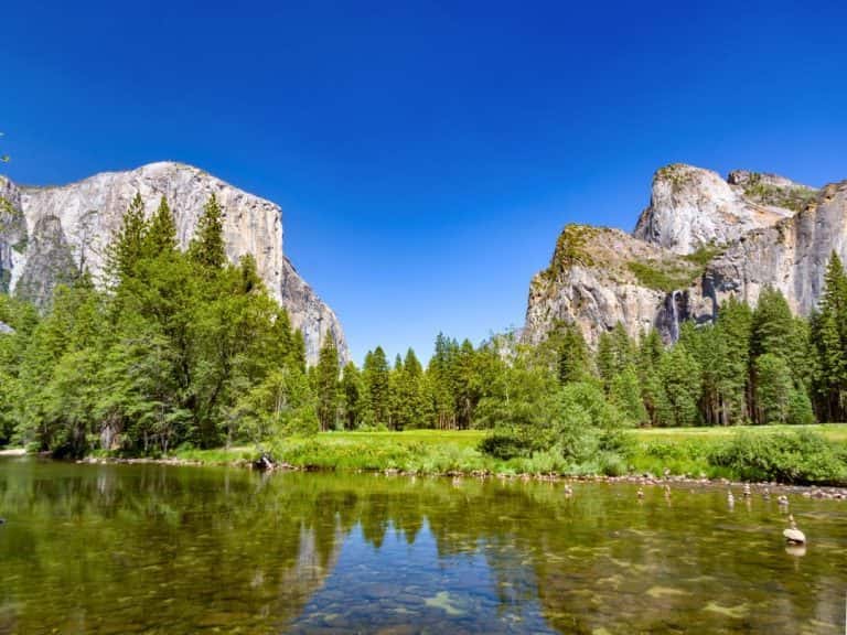 5 Amazing Scenic Drives in Yosemite (with Best Stops+Maps) • Intrepid Scout