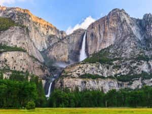 Best Yosemite Shuttle Bus Guide (Useful Tips+Maps+Routes) • Intrepid Scout