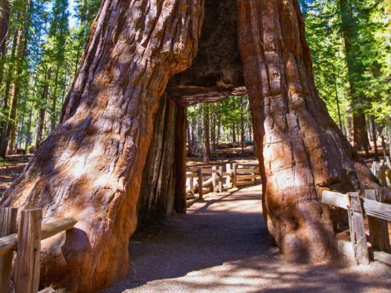 17 Easy Hikes in Yosemite Perfect for All Ages (Useful Tips+Maps ...