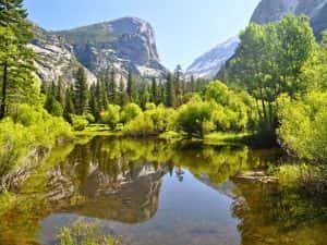 Best Yosemite Shuttle Bus Guide (Useful Tips+Maps+Routes) • Intrepid Scout