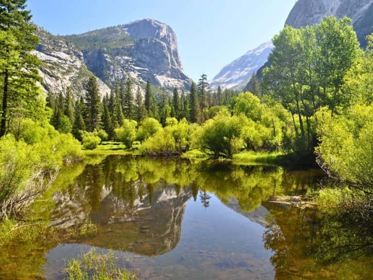 Best Yosemite Shuttle Bus Guide (Useful Tips+Maps+Routes) • Intrepid Scout