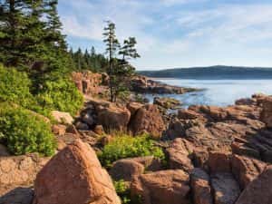 23 Best Stops on Acadia Loop Road (Maps+Useful Tips) • Intrepid Scout