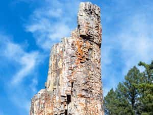 16 Best Stops on Yellowstone Grand Loop Drive (Maps+Useful Tips ...