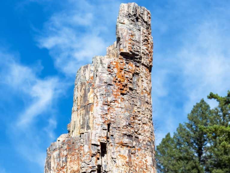 16 Best Stops on Yellowstone Grand Loop Drive (Maps+Useful Tips ...