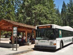 Best Yosemite Shuttle Bus Guide (Useful Tips+Maps+Routes) • Intrepid Scout