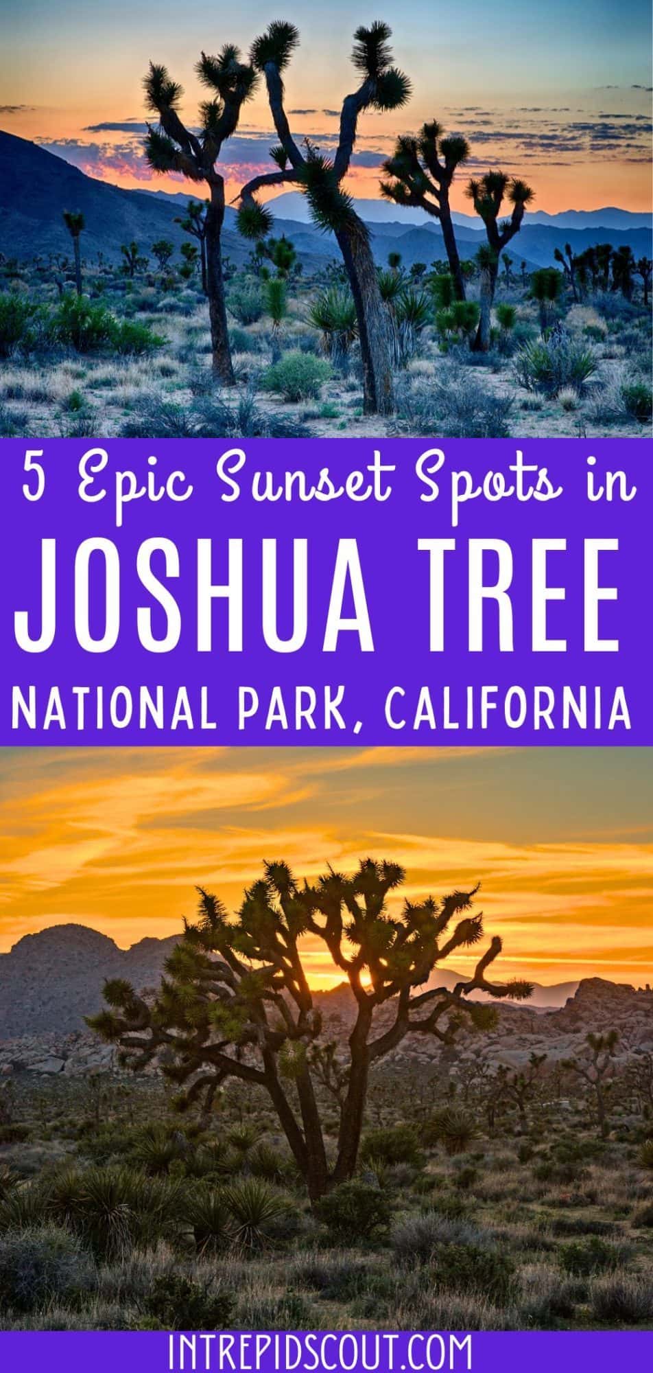 5 Best Spots to Watch Sunset in Joshua Tree National Park • Intrepid Scout