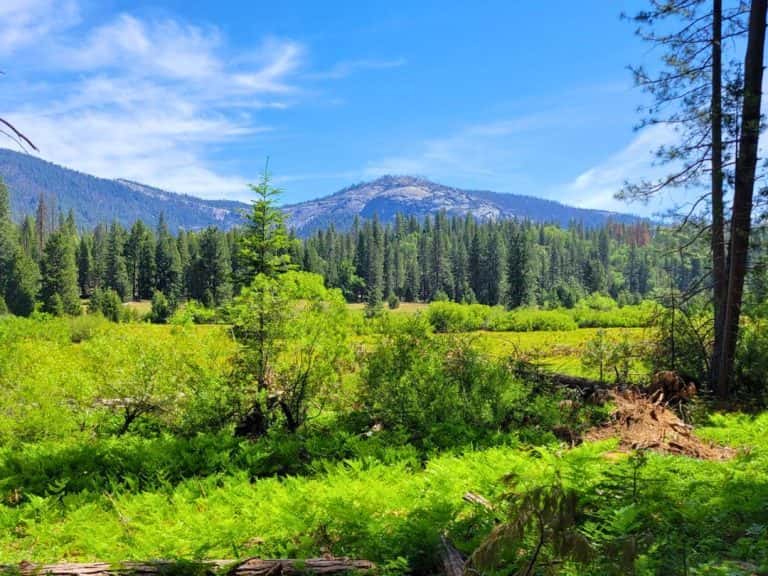 17 Easy Hikes in Yosemite Perfect for All Ages (Useful Tips+Maps ...