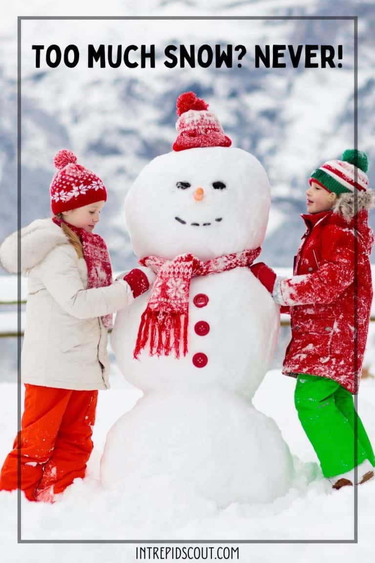 367 Heartwarming Winter Captions and Quotes (Perfect for Winter Photos ...