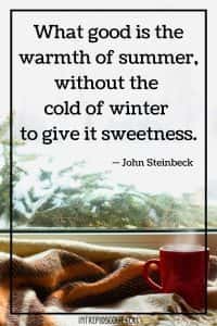 367 Heartwarming Winter Captions and Quotes (Perfect for Winter Photos ...