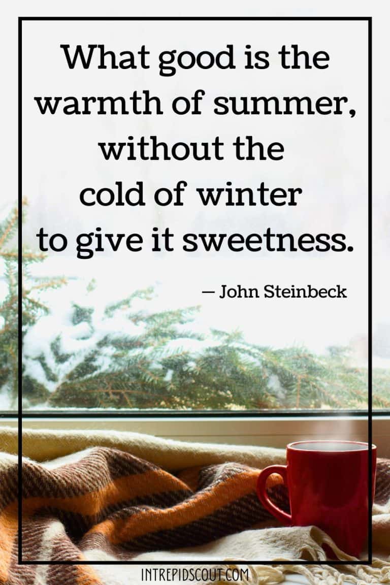 367 Heartwarming Winter Captions and Quotes (Perfect for Winter Photos ...