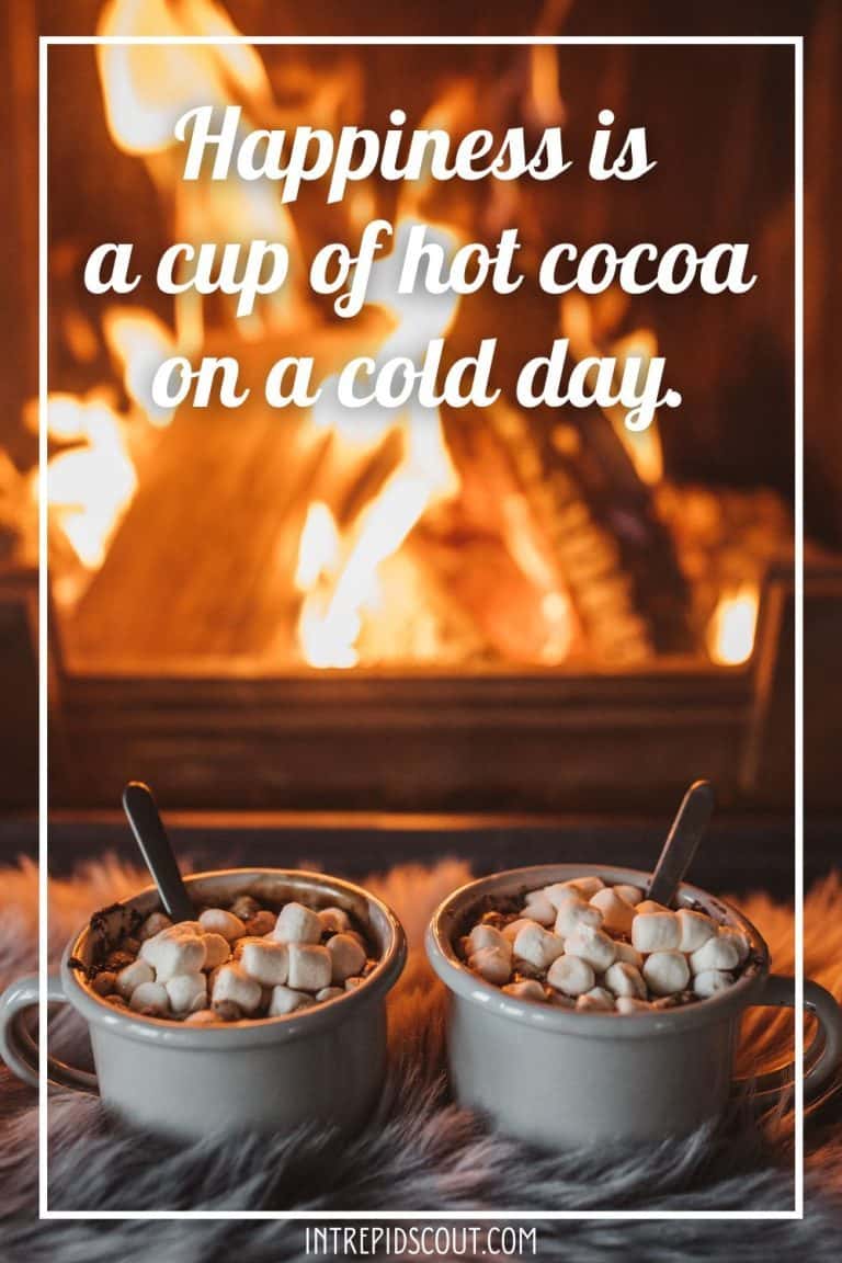 367 Heartwarming Winter Captions and Quotes (Perfect for Winter Photos ...