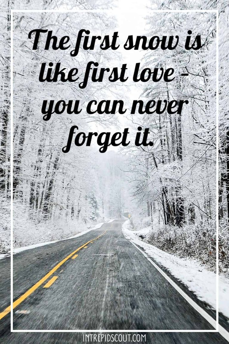 206 Winter Captions and Quotes to Capture the Charm of the Season ...