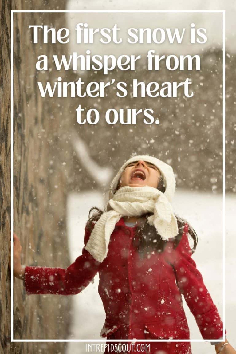 367 Heartwarming Winter Captions and Quotes (Perfect for Winter Photos ...