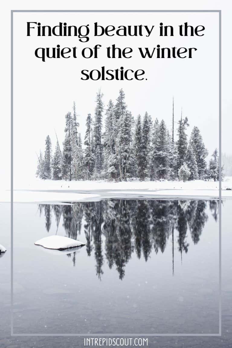 367 Heartwarming Winter Captions and Quotes (Perfect for Winter Photos ...