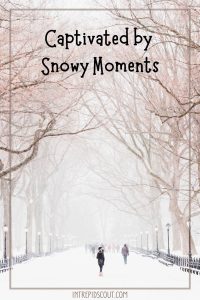 206 Winter Captions and Quotes to Capture the Charm of the Season ...