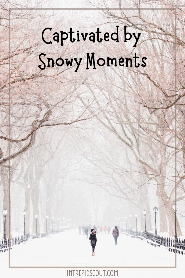 206 Winter Captions and Quotes to Capture the Charm of the Season ...