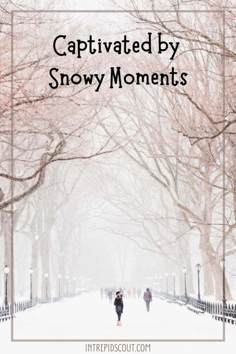 367 Heartwarming Winter Captions and Quotes (Perfect for Winter Photos ...