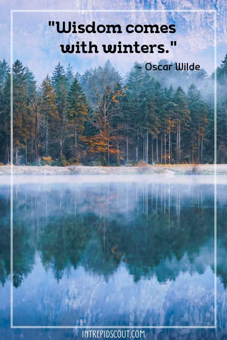 206 Winter Captions and Quotes to Capture the Charm of the Season ...