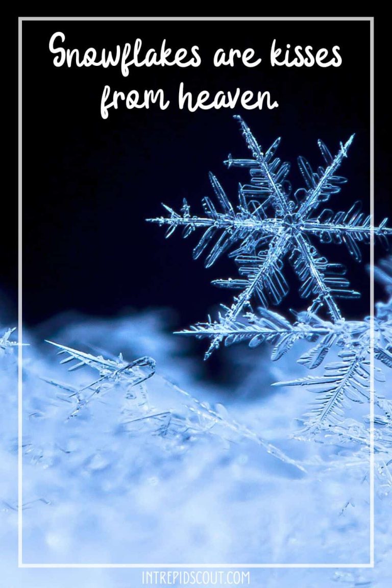 206 Winter Captions and Quotes to Capture the Charm of the Season ...