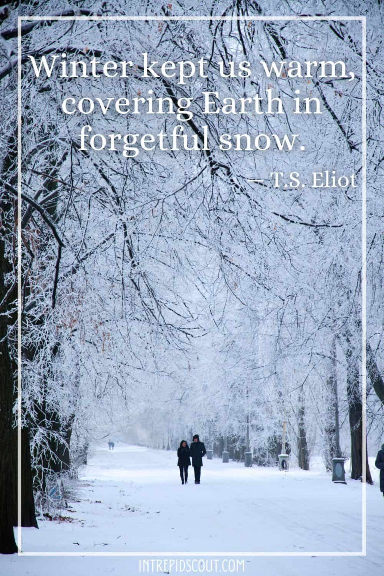 206 Winter Captions and Quotes to Capture the Charm of the Season ...