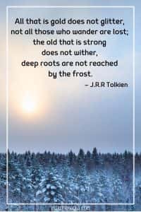 367 Heartwarming Winter Captions and Quotes (Perfect for Winter Photos ...