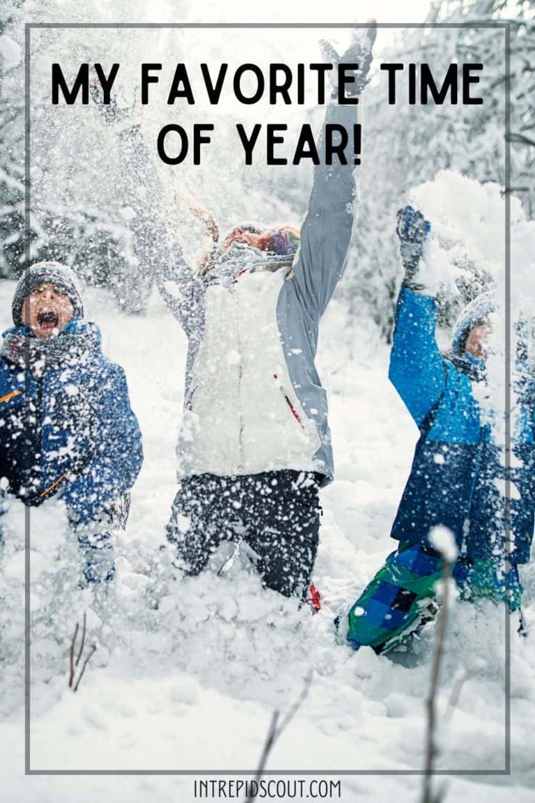 367 Heartwarming Winter Captions and Quotes (Perfect for Winter Photos ...