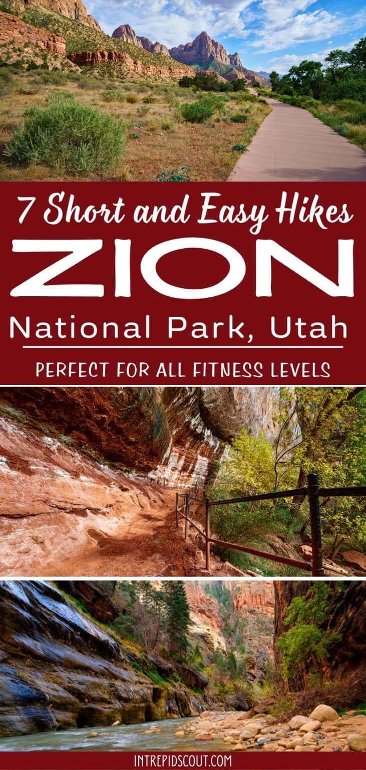 7 Short and Easy Hikes in Zion National Park (Maps+Tips) • Intrepid Scout