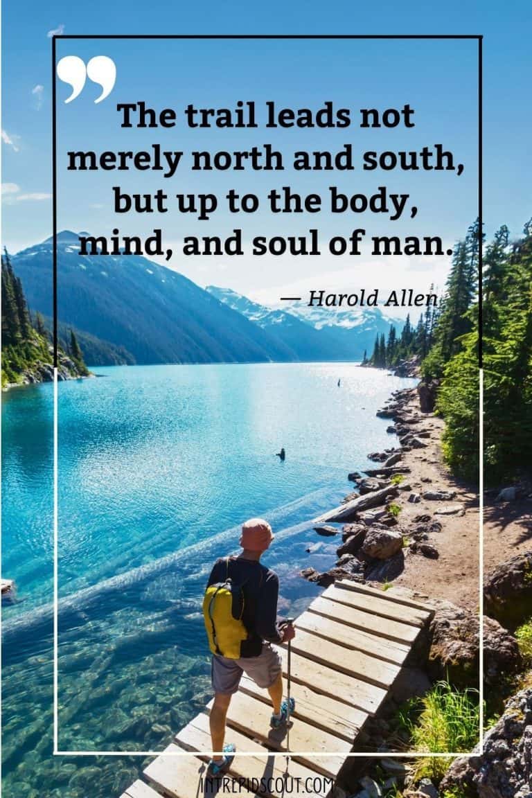 106 Hiking Captions and Quotes Celebrating the Joys of Exploring the ...