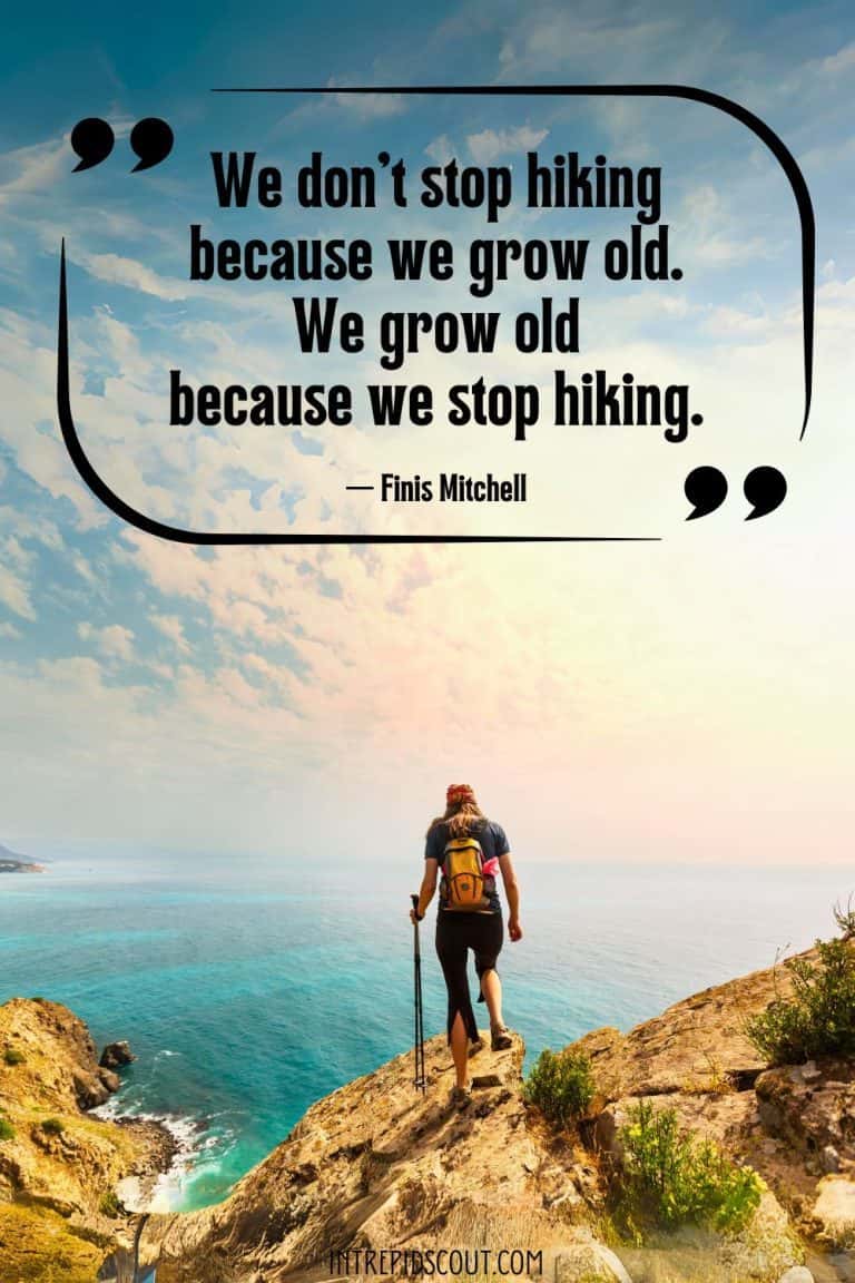 106 Hiking Captions and Quotes Celebrating the Joys of Exploring the ...