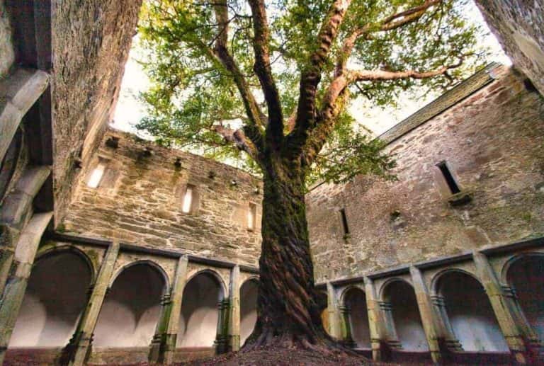 Perfect 10-Day Ireland Road Trip Itinerary (Detailed Map+Tips for ...