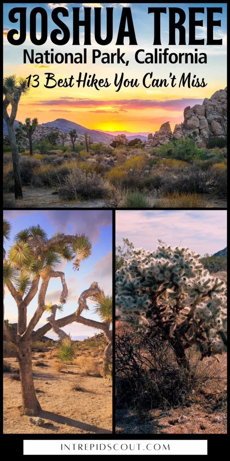 13 Best Hikes in Joshua Tree National Park (Maps and Tips) • Intrepid Scout