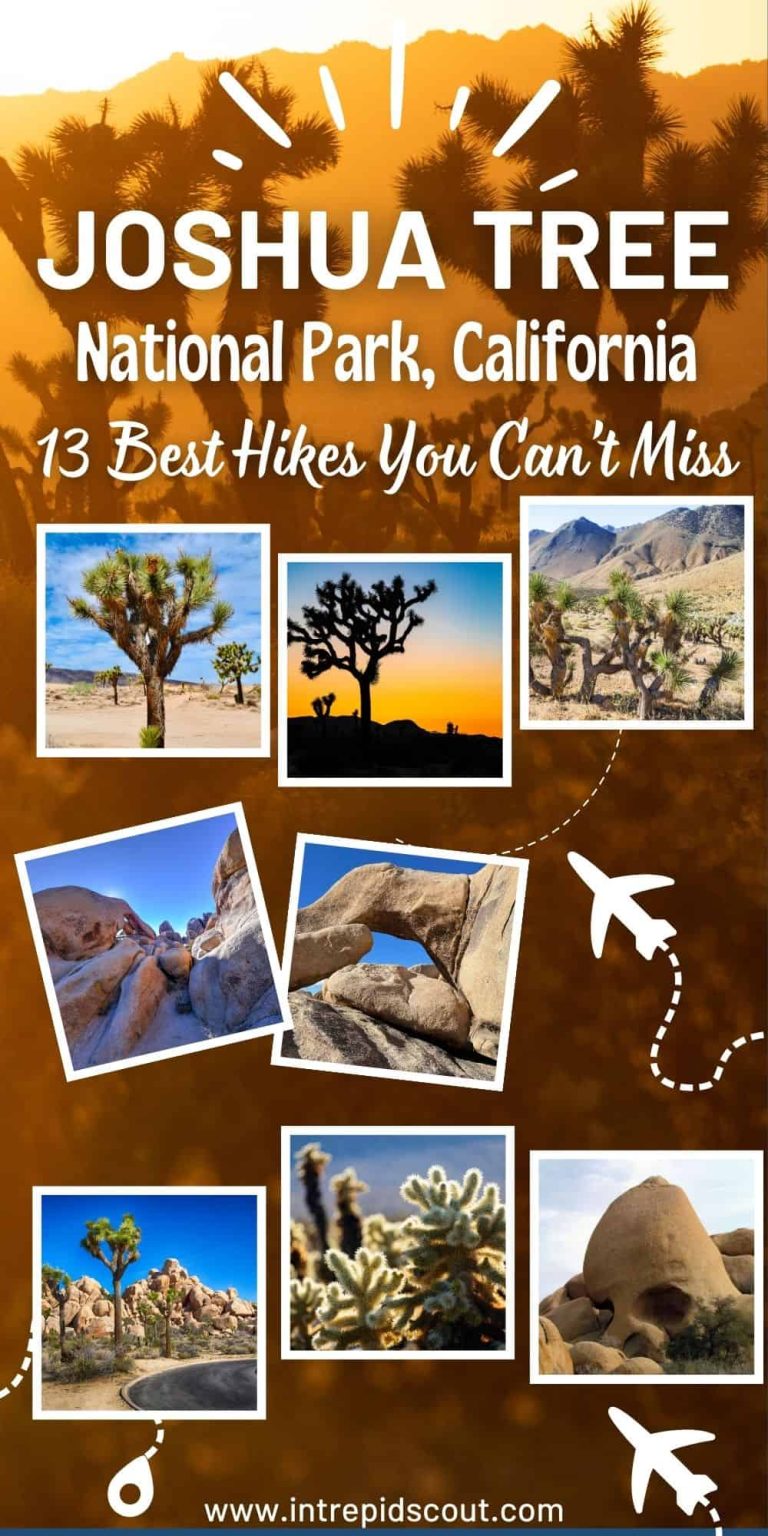 13 Best Hikes in Joshua Tree National Park (Maps and Tips) • Intrepid Scout